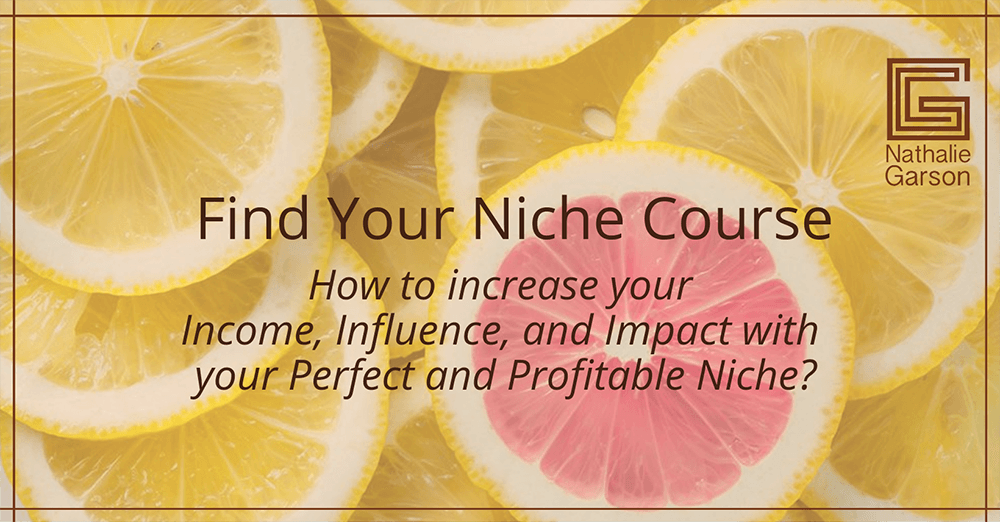 Find Your Niche Course – Opt-In Qualification Page